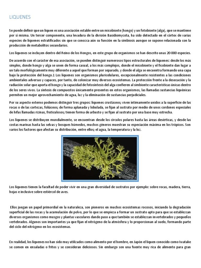 Liquenes Simbiosis o Protocooperacion | PDF | Organismos | Biología