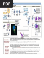 HPCSA Booklet 9 Patient Informed Consent | PDF | Informed Consent | Consent