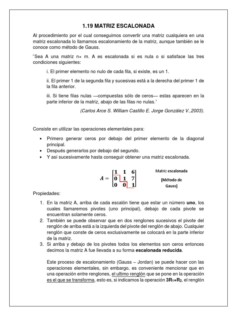 1.19 Matriz Escalonada | PDF | Matriz (Matemáticas) | Enseñanza de ...