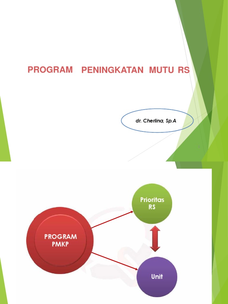 Program Peningkatan Mutu RS | PDF