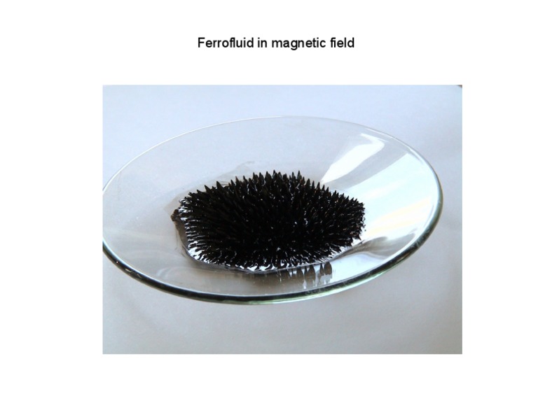 Ferrofluid | PDF