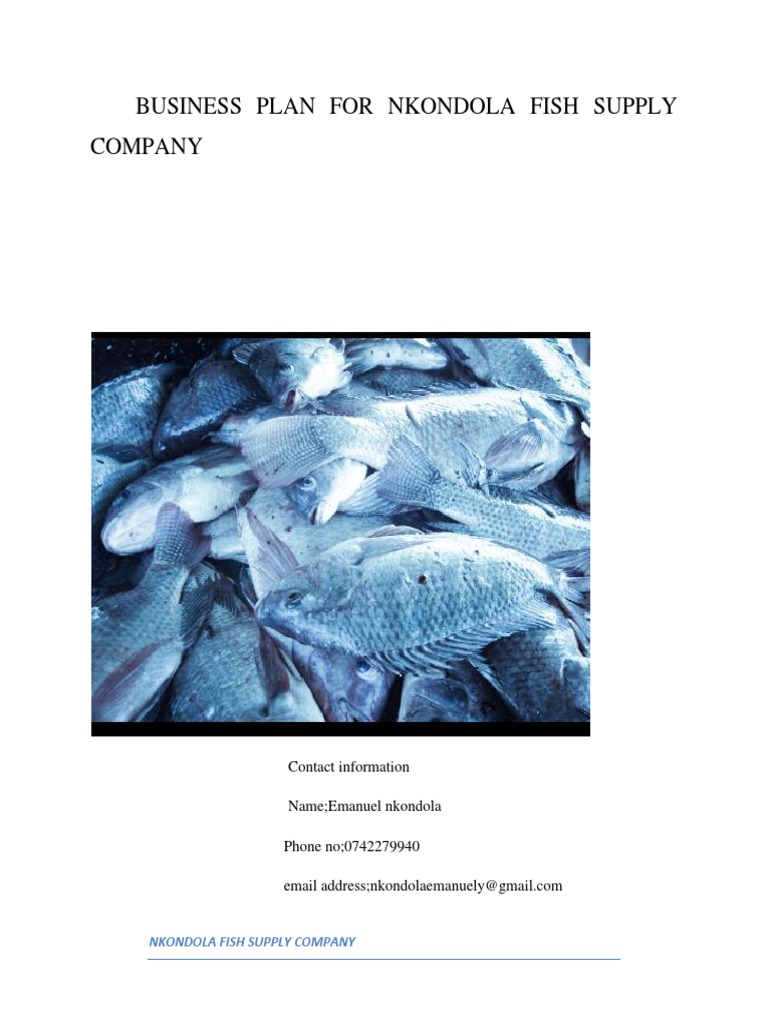 Business Plan For Nkondola Fish Supply Company | PDF | Debits And ...