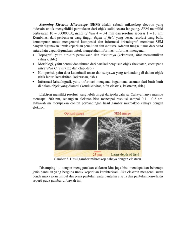 Scanning Electron Microscope (SEM) | PDF