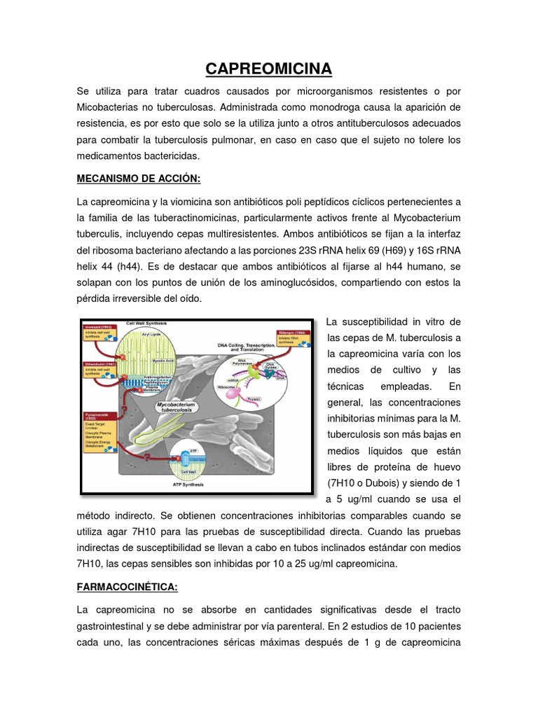 CAPREOMICINA | PDF | Tuberculosis | Drogas