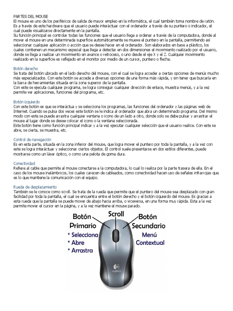 Partes Del Mouse | Dos | Microsoft Windows