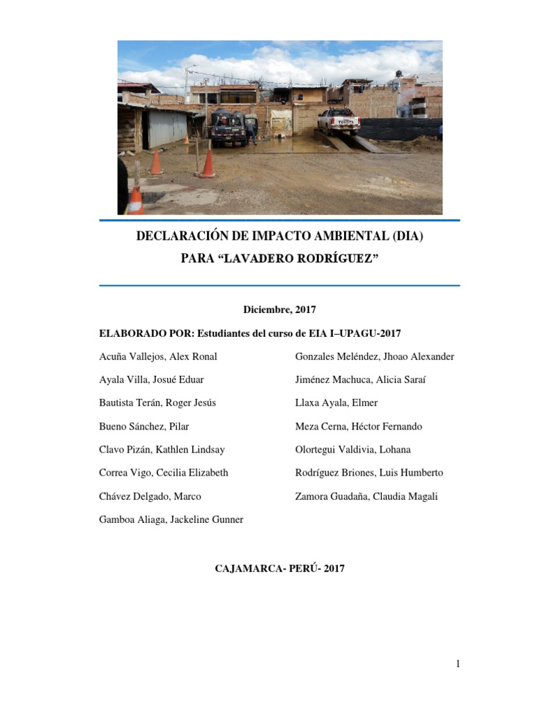 Declaración de Impacto Ambiental Dia Lavadero Rodriguez | PDF ...