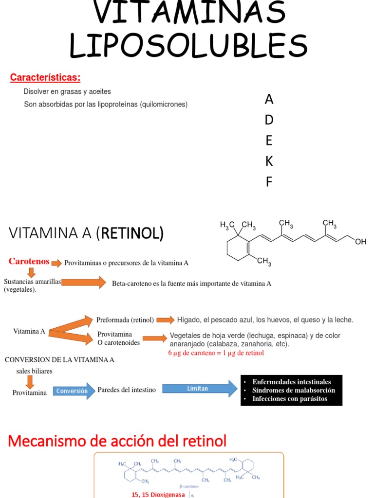 Estructura y Funciones de Vitaminas Liposolubles | PDF | Vitamina a ...