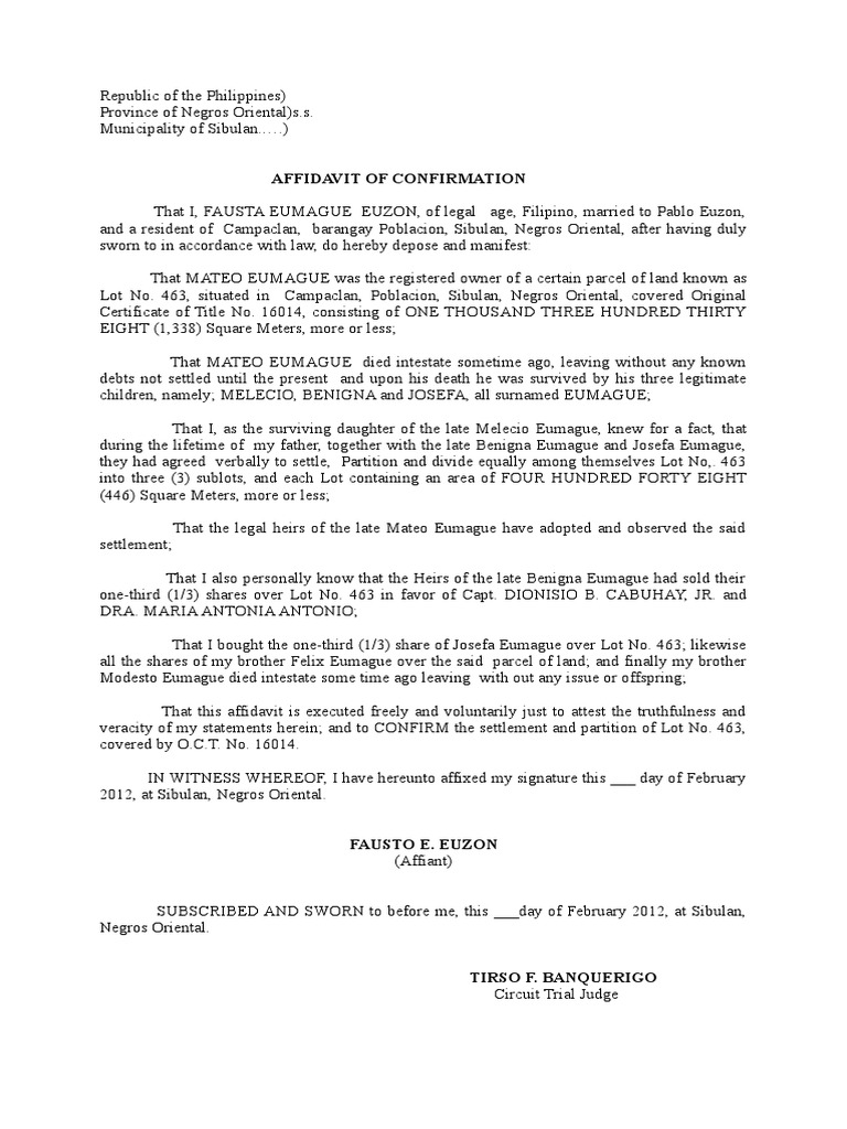 Affidavit of Confirmation - Euzon | PDF | Affidavit | Civil Law (Common ...