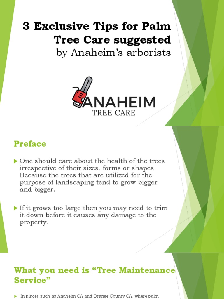 Essential Palm Tree Care Tips | PDF | Trees | Health Sciences