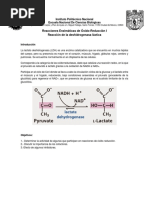 Reacción de Hill en Fotosíntesis | PDF | Fotosíntesis | Metabolismo