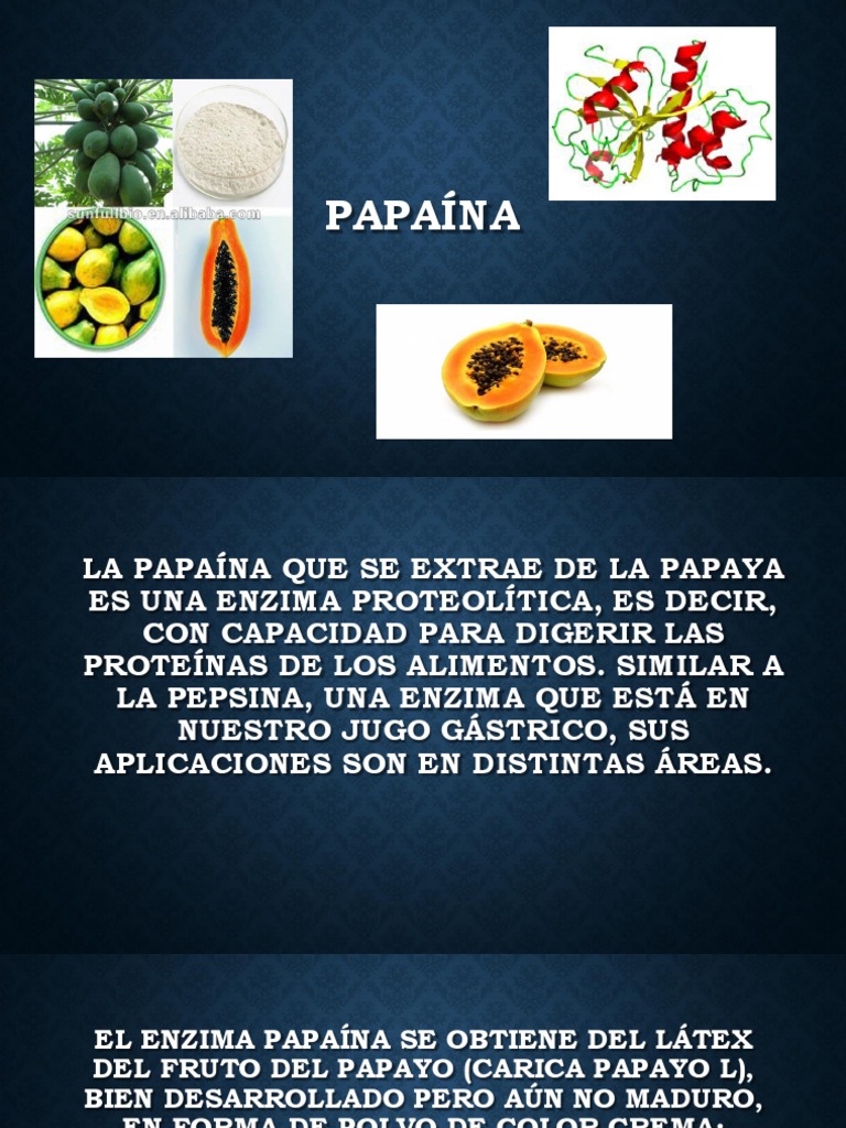 La papaína: una enzima proteolítica de amplia aplicación | PDF ...