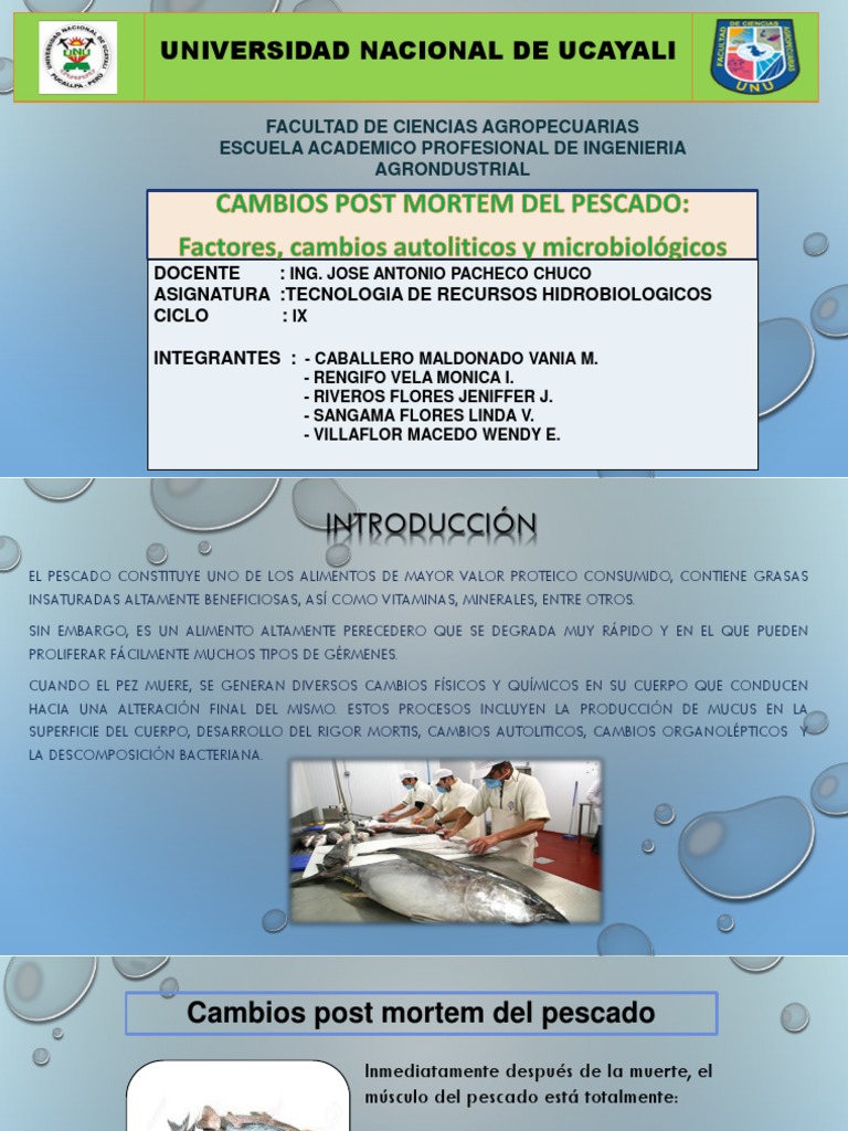 Cambios Post Mortem Del Pescado | PDF | Las bacterias | Pescado