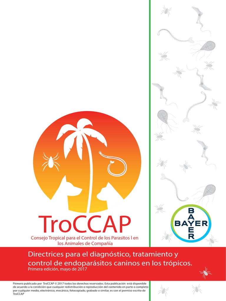 TroCCAP Canine Endo Guidelines Spanish | PDF | Diarrea | Heces