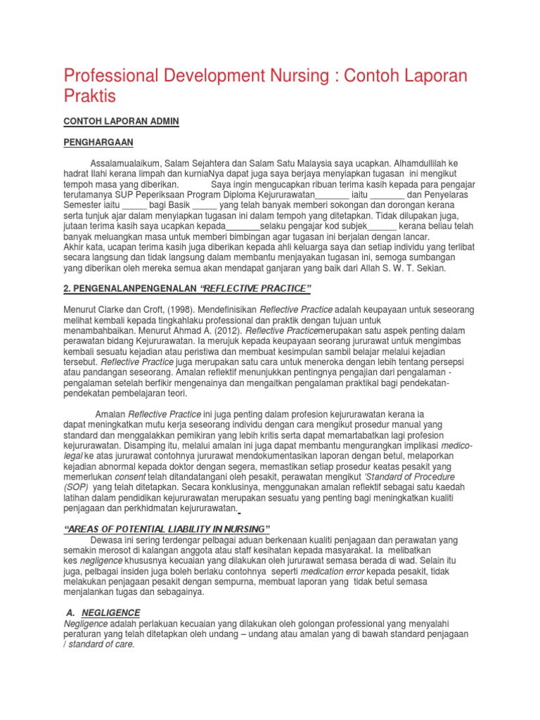 Professional Development Nursing | PDF