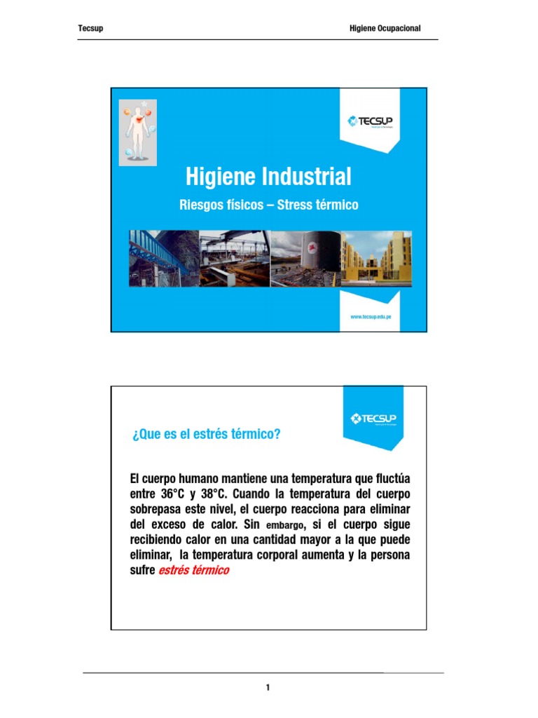 Risgos Físicos - Stress Térmico | PDF | Termorregulación | Calor
