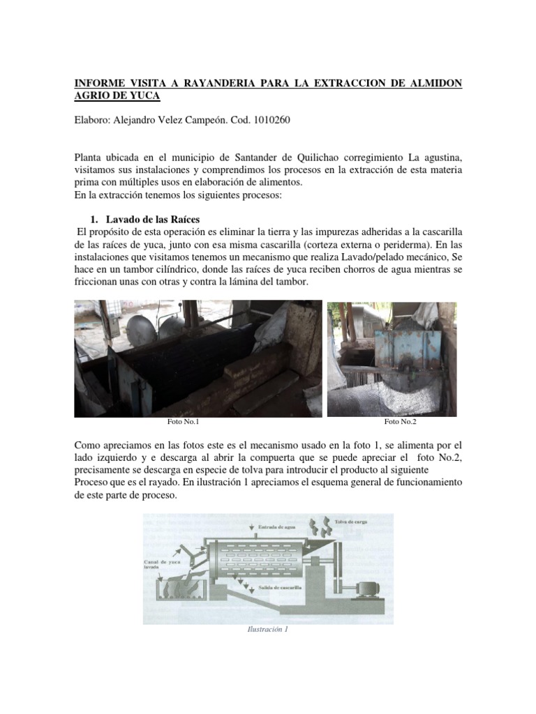 Proceso Del Almidon Agrio de Yuca - Salida 1 Maquinarias 2 | PDF | Raíz ...