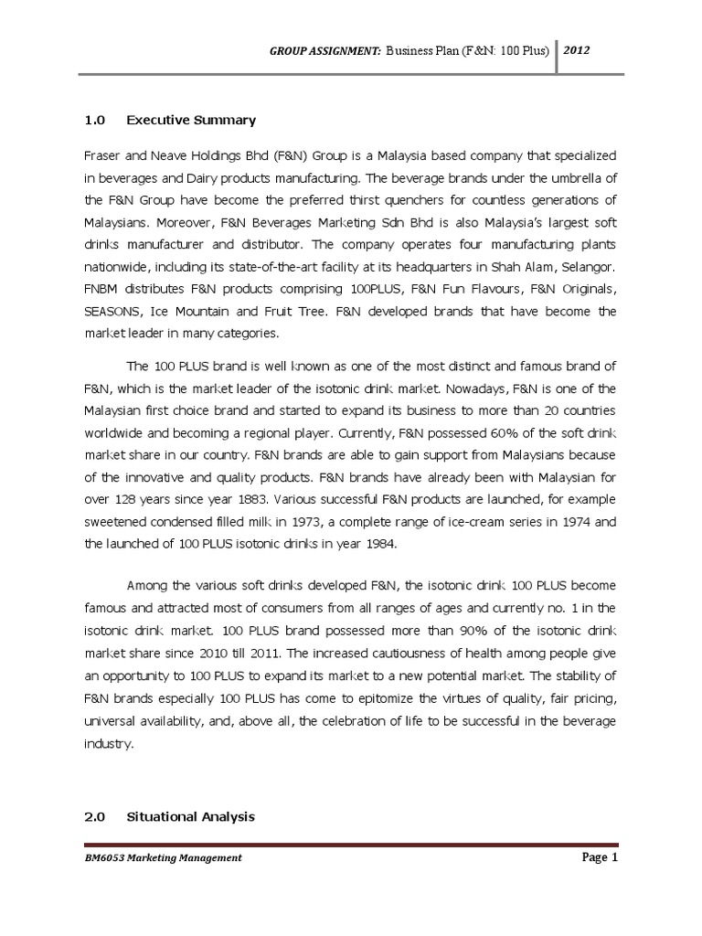 Bplan 100 Plus Full Final | PDF | Brand | Marketing