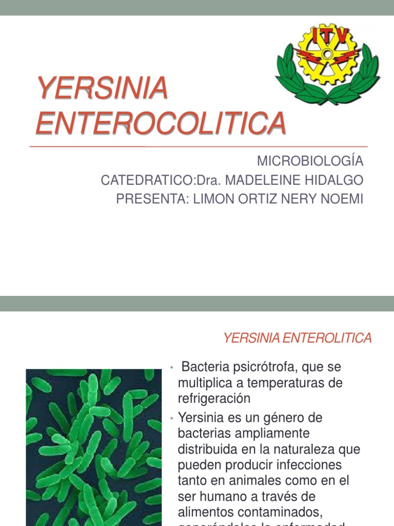 Yersinia Enterocolitica | PDF | Especialidades Medicas | Las bacterias