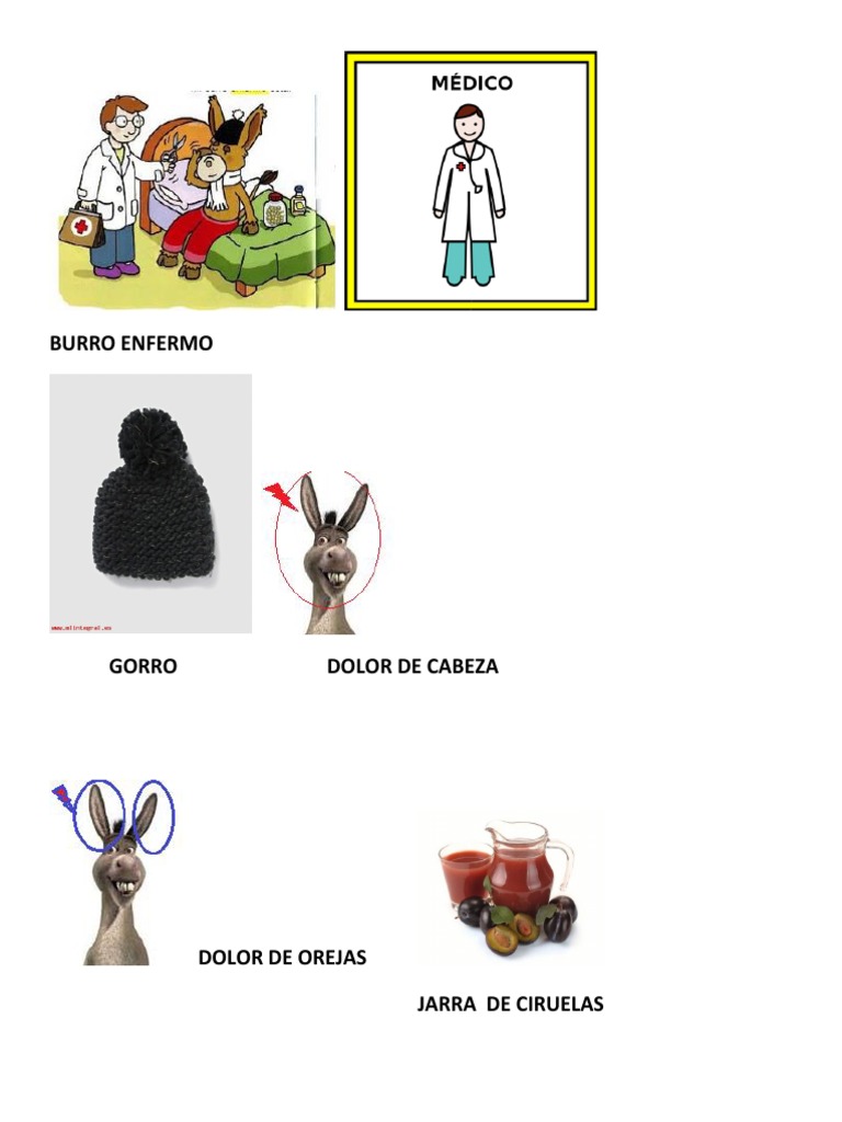 Burro Enfermo | PDF