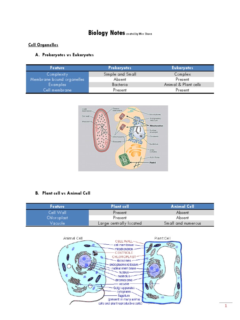 Biology Notes: Cell Organelles A. Prokaryotes Vs Eukaryotes | PDF ...