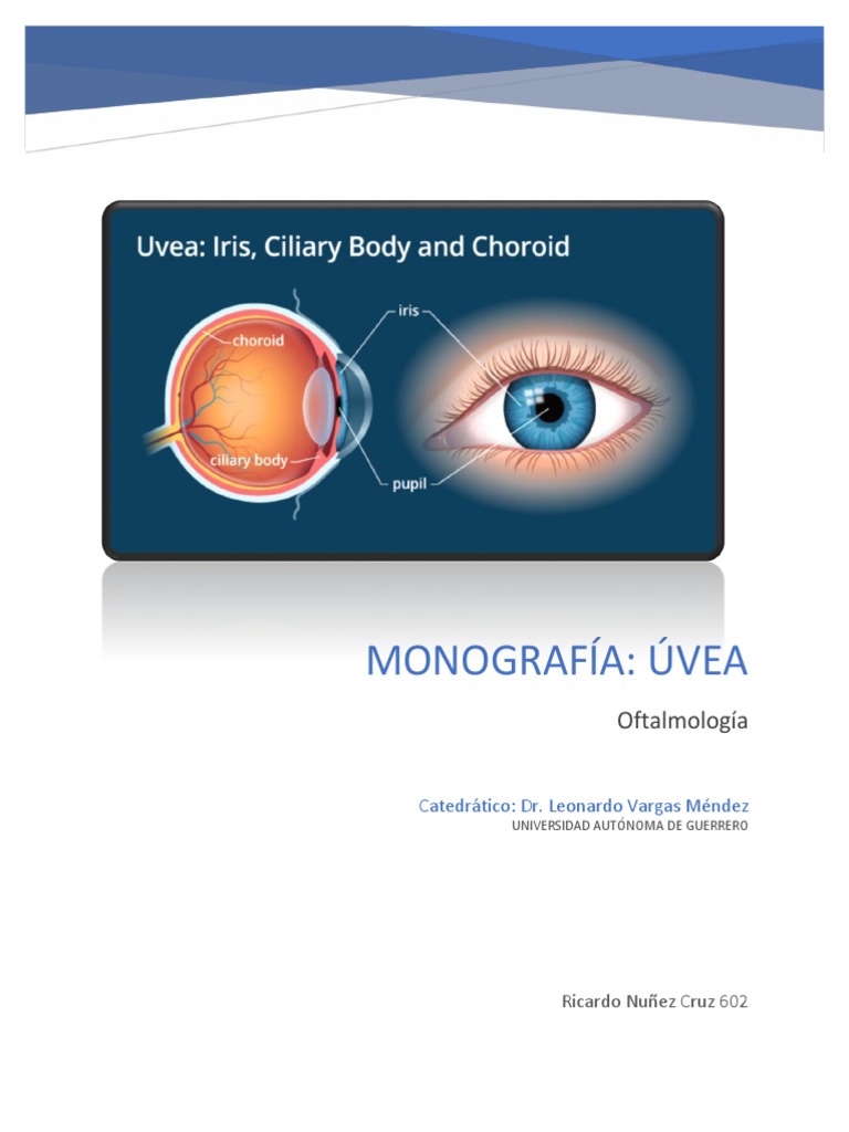 Anatomía, fisiología e histología de la úvea | PDF | Ojo humano | Ojo