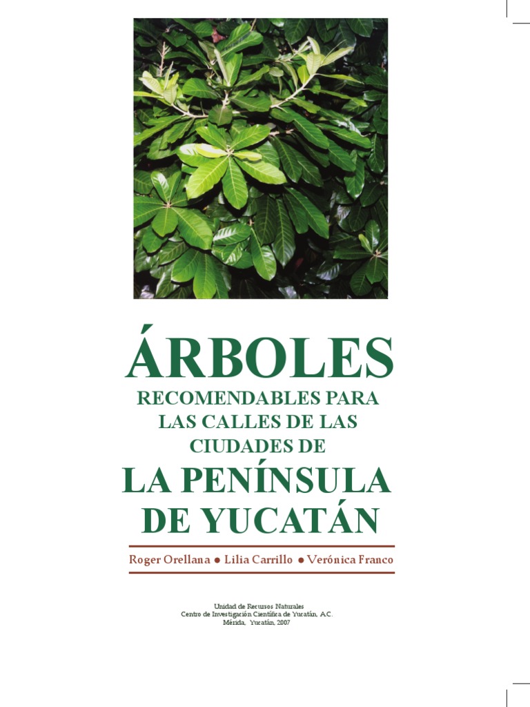 Árboles: La Península De Yucatán | Arboles | Suelo