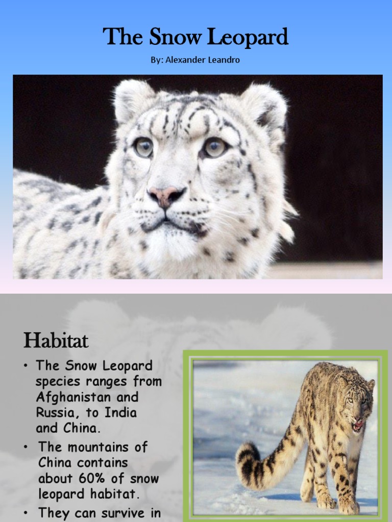 The Snow Leopard 1 | PDF