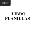 Libro de Planillas | PDF | Derecho laboral | Contabilidad