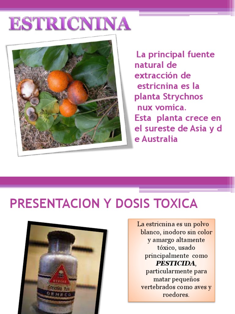 Estricnina 140913192155 Phpapp01 | PDF | Medicina | Medicina CLINICA