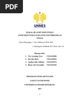 Contoh Program Audit | PDF