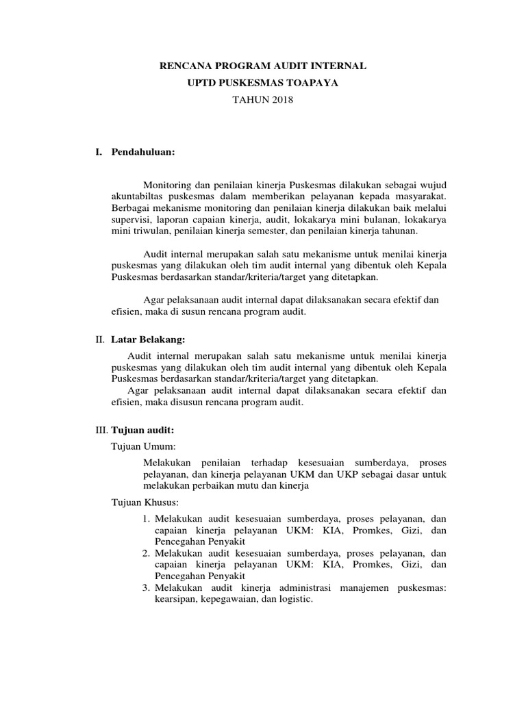 Contoh Rencana Program Audit Internal Puskesmas Tahunan | PDF