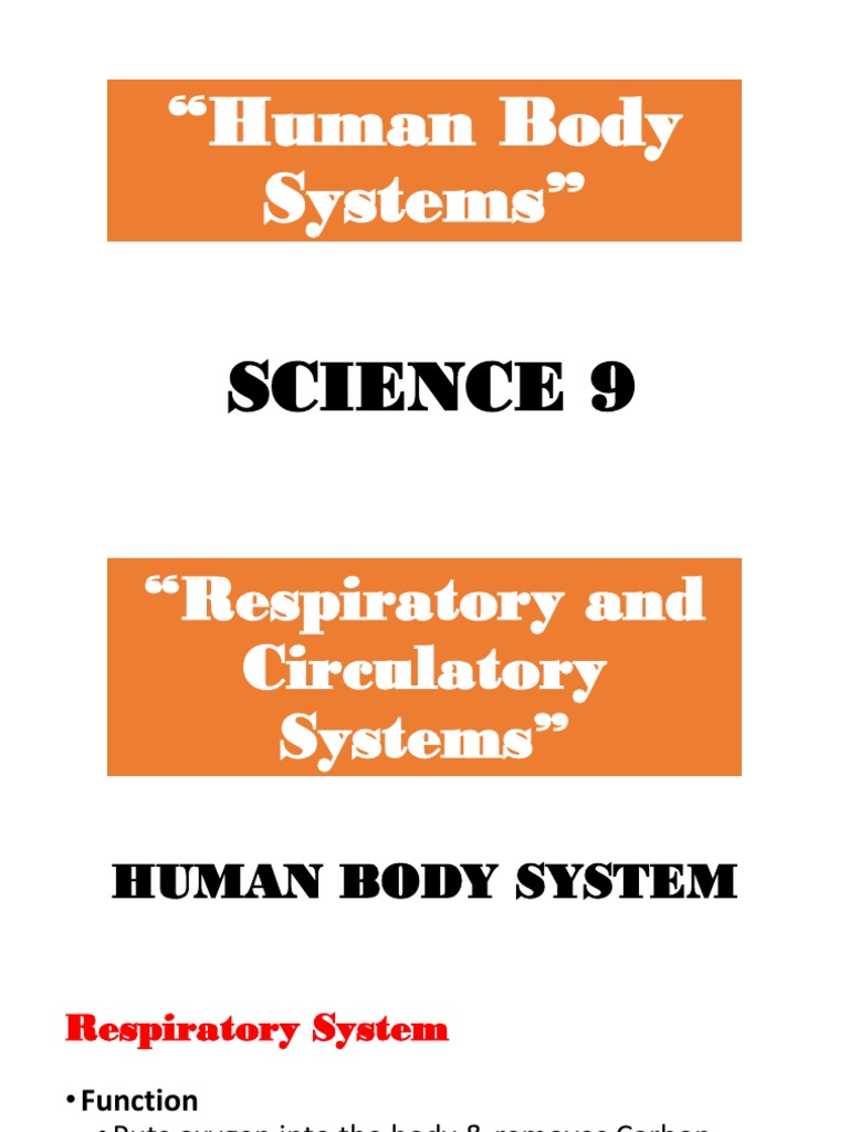 Human Body Systems PPT 2016 | PDF | Circulatory System | Blood