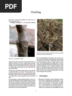 Asexual Propagation by Inarching | PDF | Grafting | Trees