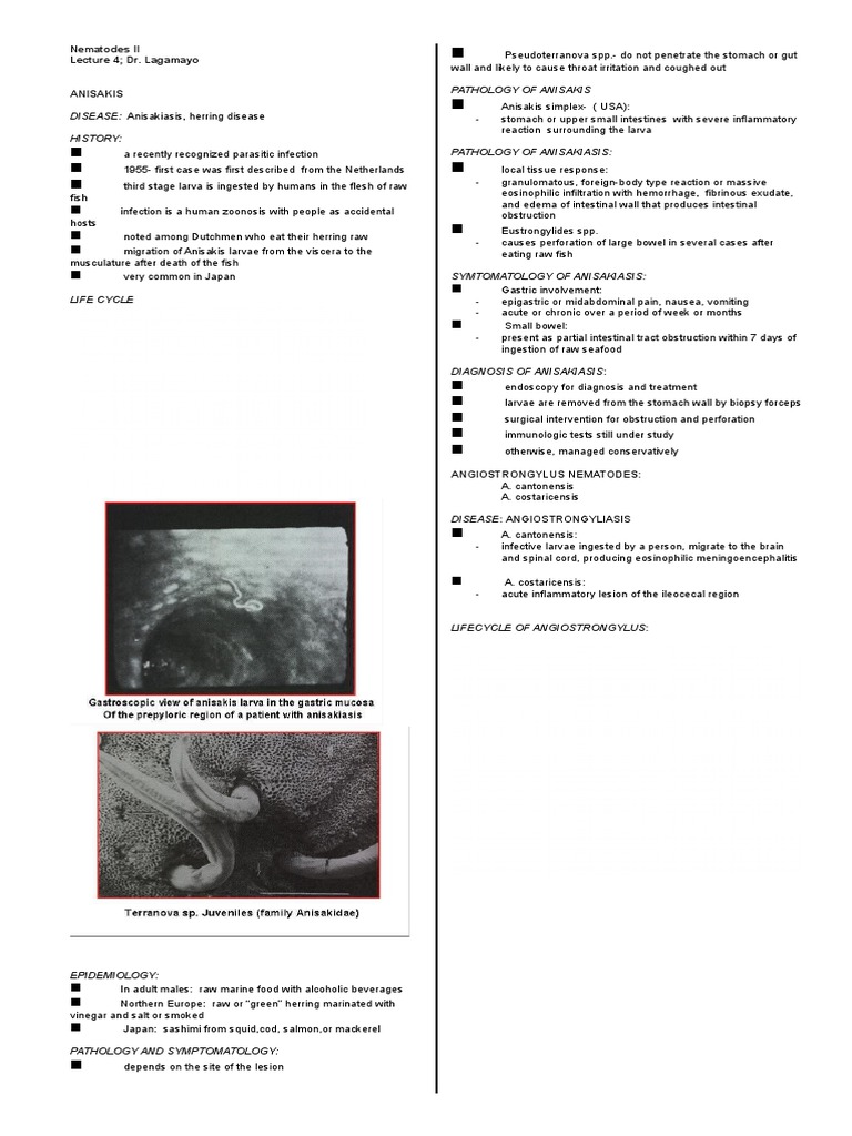 Parasitology Lec 4 Anisakis Kat | PDF | Immunology | Health Sciences