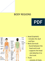 Brain Anatomical Directional Terms | PDF
