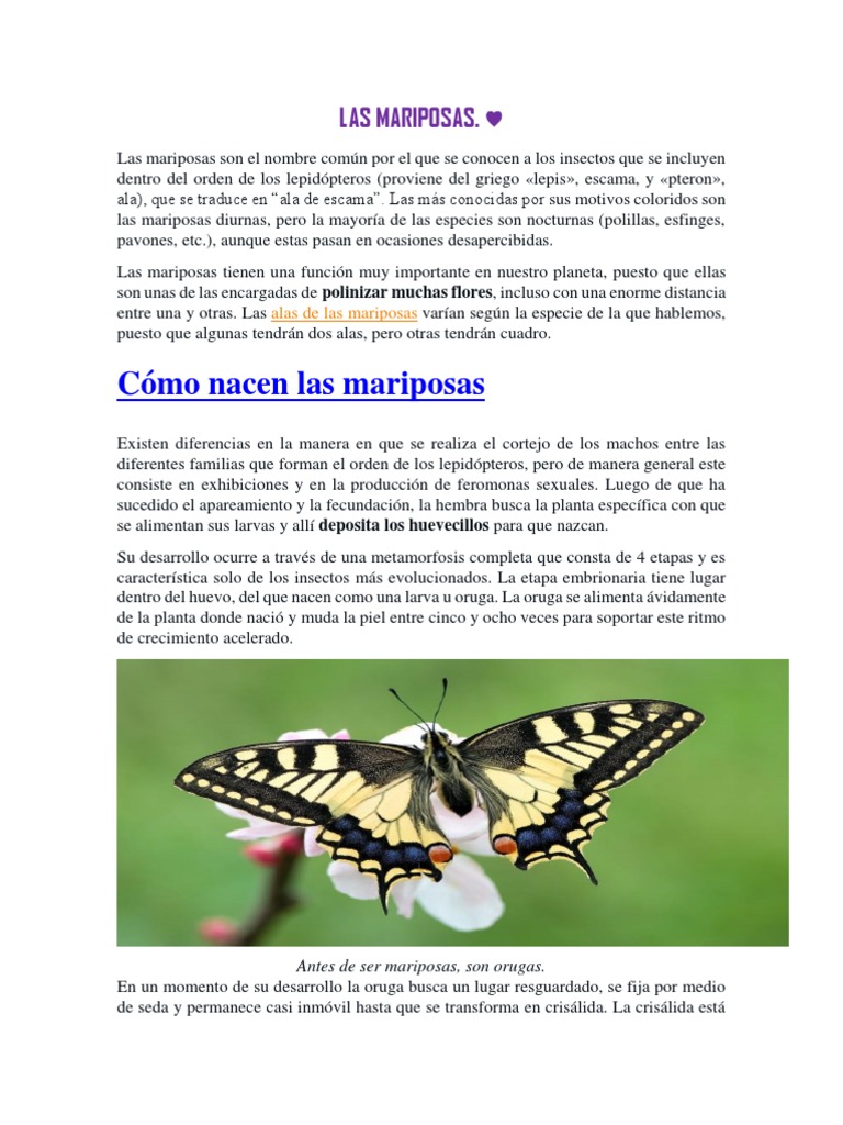 Importancia y ciclo de vida de las mariposas | PDF | Lepidópteros ...
