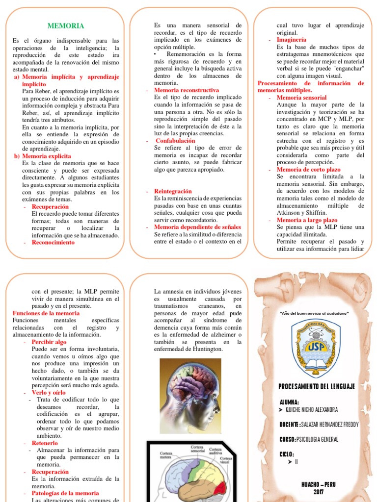 Triptico - Memoria | PDF | Memoria | Sistema límbico