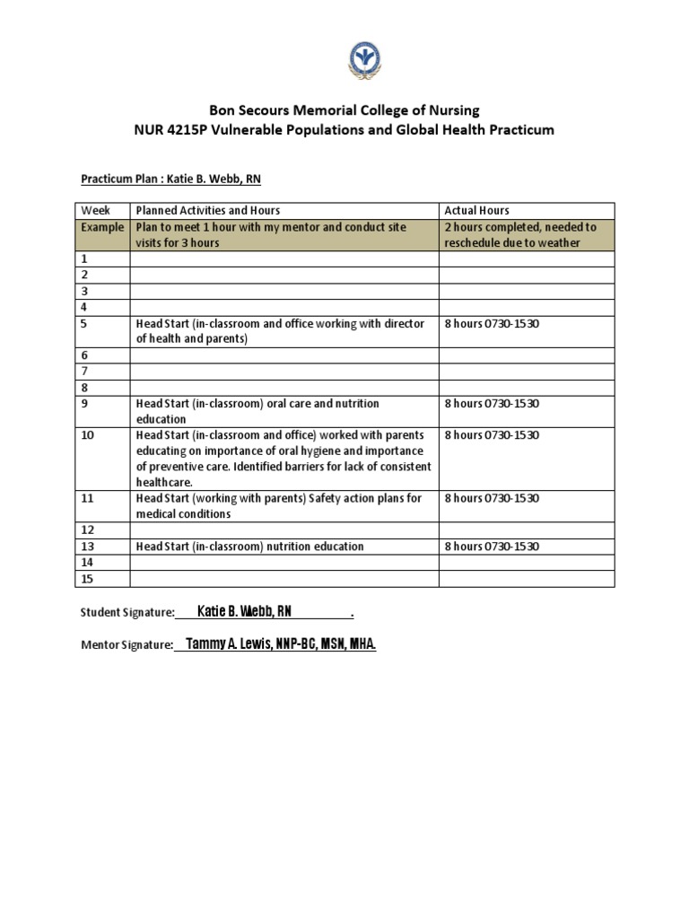 Final Practicum Hours 1 - 2 | PDF