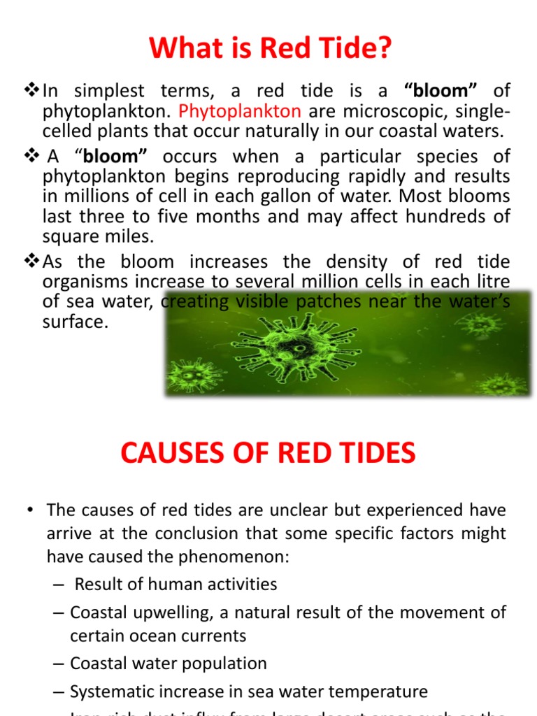What Is Red Tide | PDF