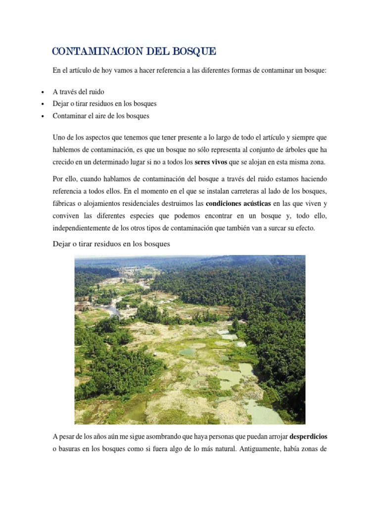 Contaminacion Del Bosque | Deforestación | Contaminación
