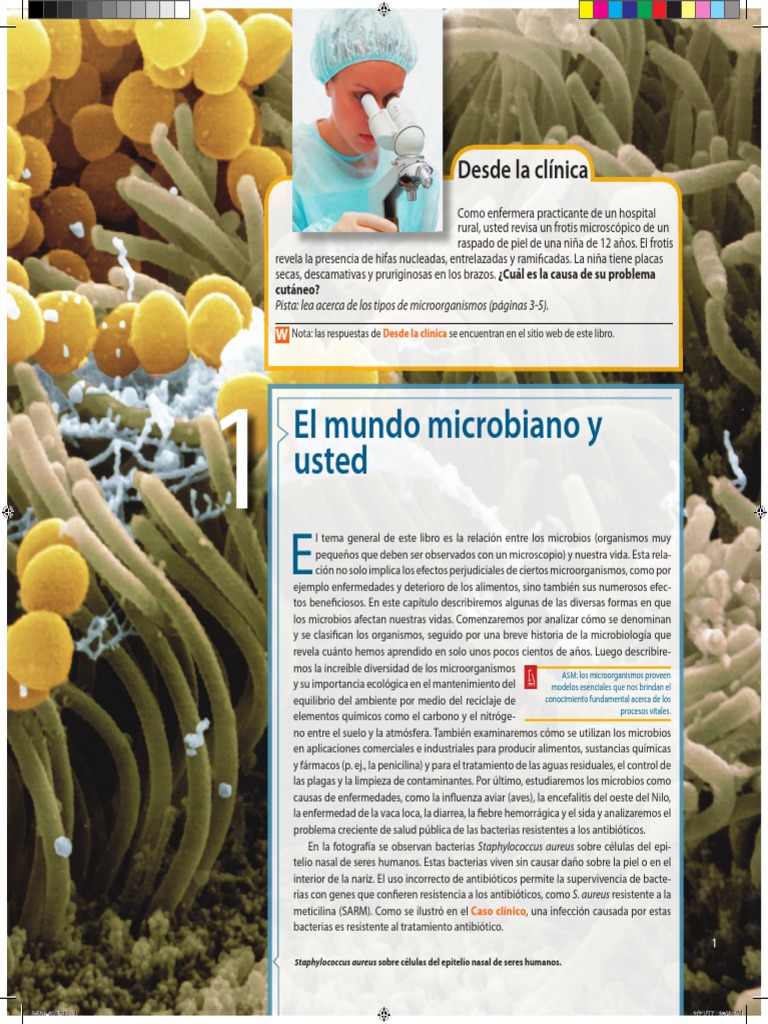 El Mundo Microbiano y Usted | Microorganismo | Las bacterias