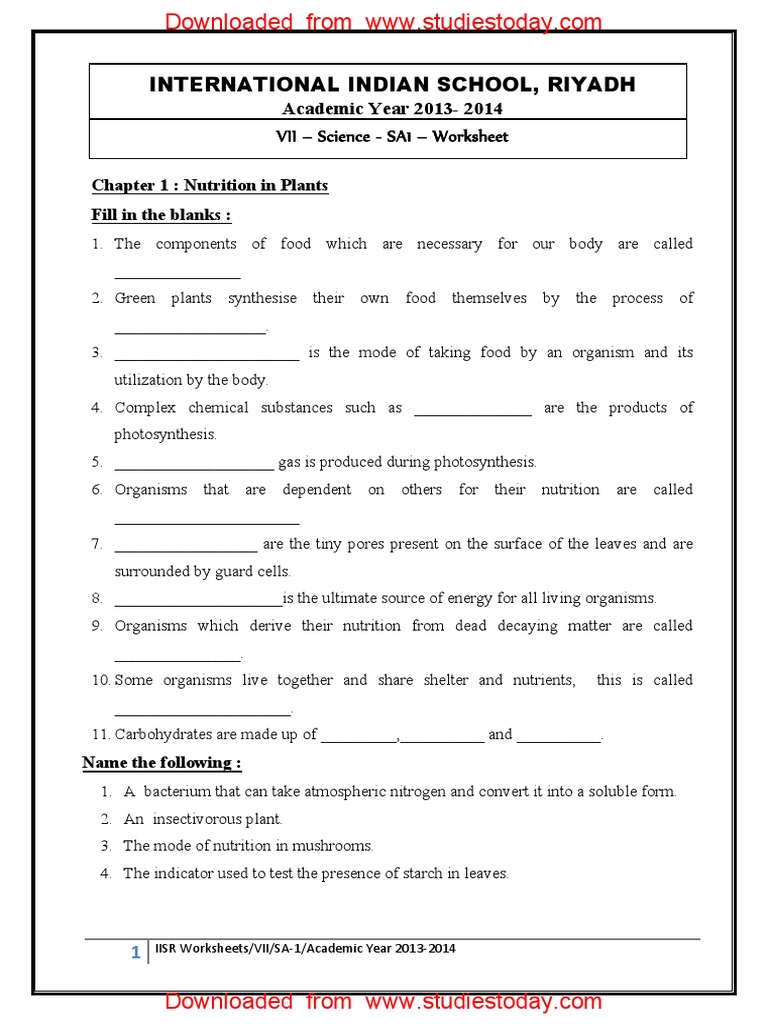 IISR Half-Yearly Worksheets 2025 | PDF | Digestion | Chemistry