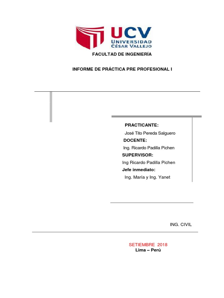 Modelo de Informe 1 | PDF | Lima | Business