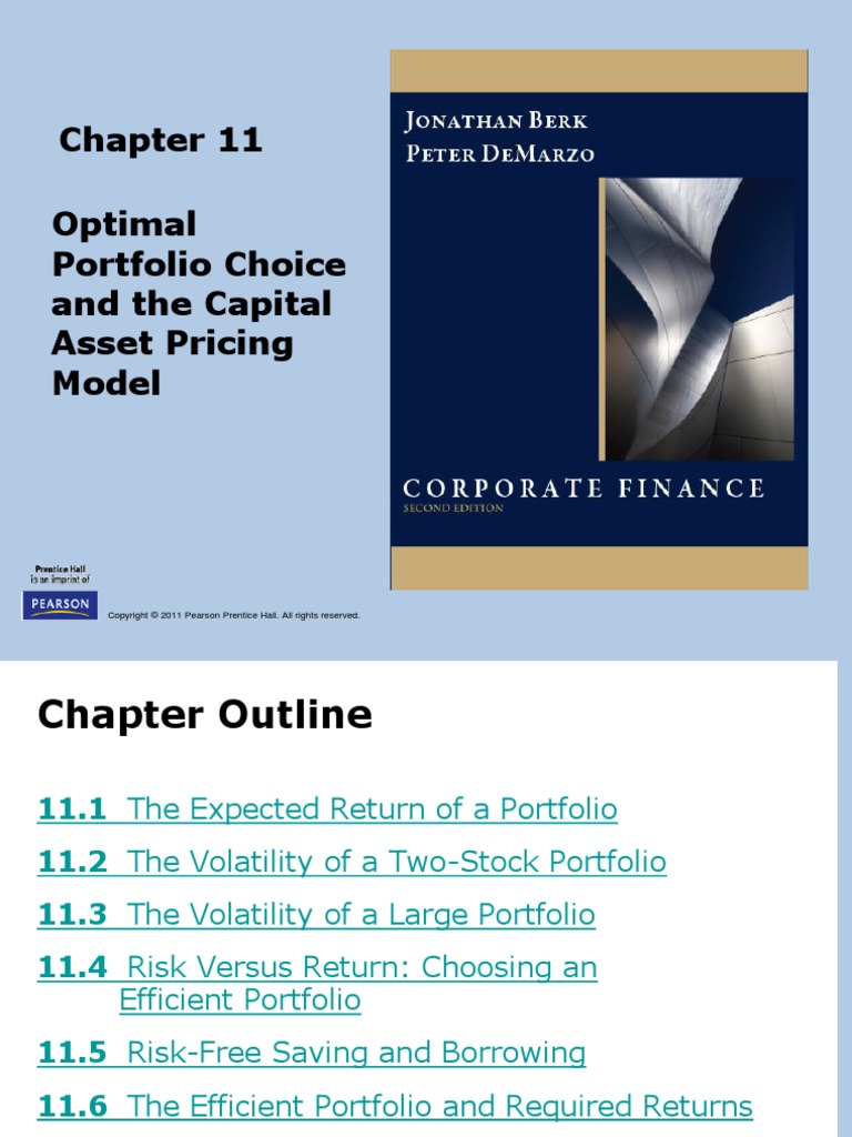 Optimal Portfolio Choice and The Capital Asset Pricing Model | PDF ...