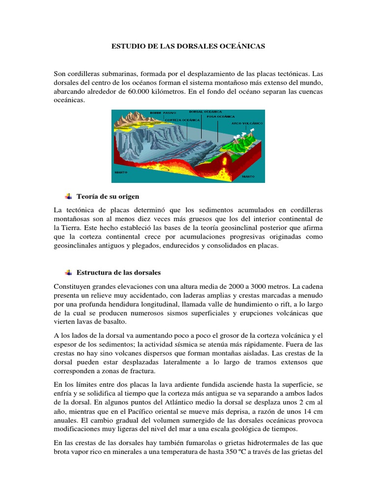 Estudio sobre Dorsales Oceánicas | PDF | Ciencias de la Tierra ...