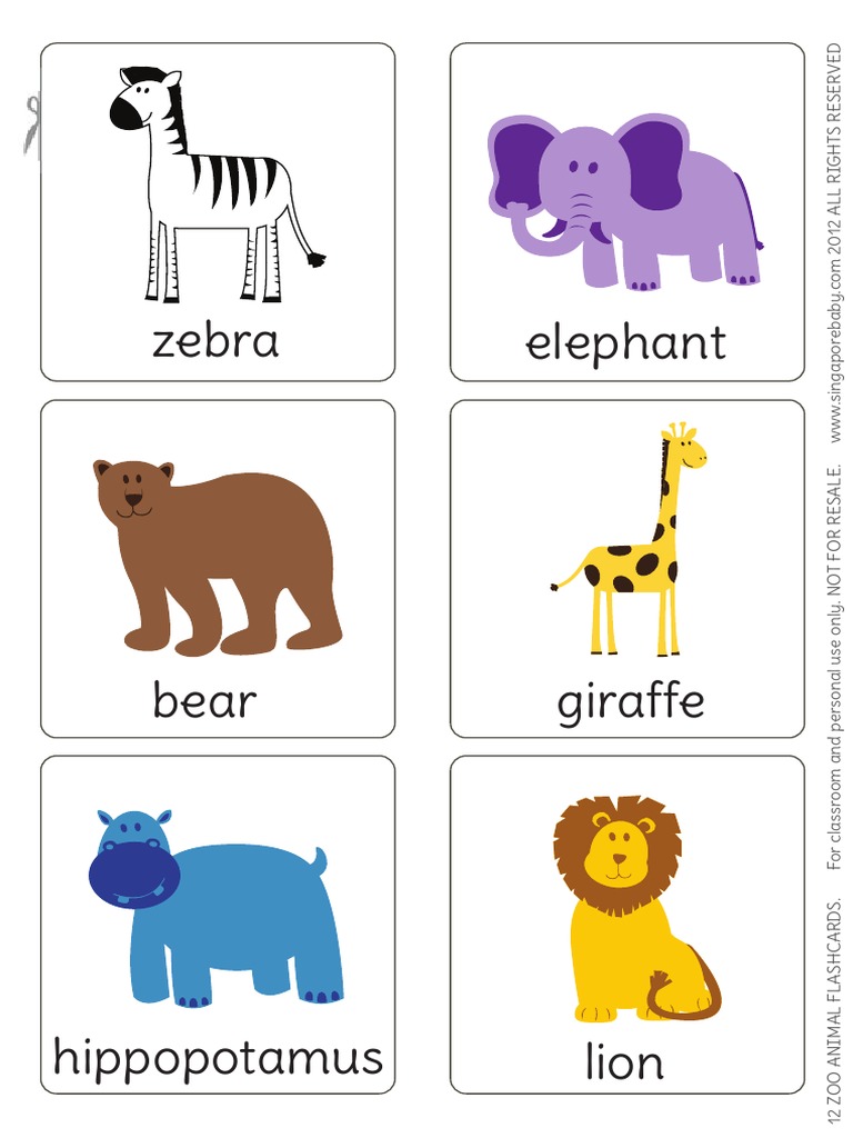 Zoo Animal Flash Cards1 PDF | PDF | Mammal Ecology | Organisms
