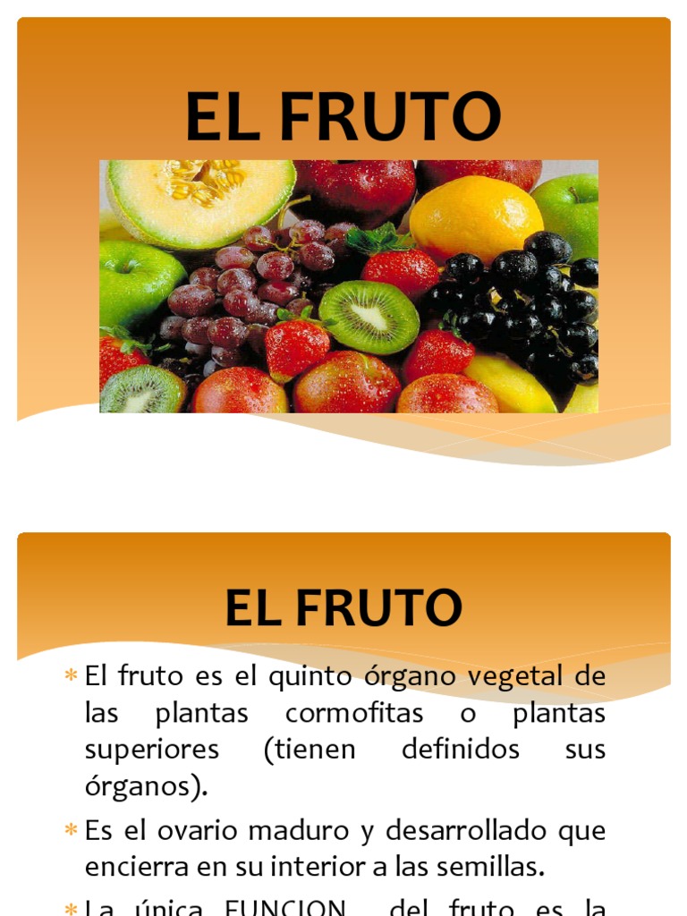 Clase 9 Fruto | PDF | Fruta | Plantas