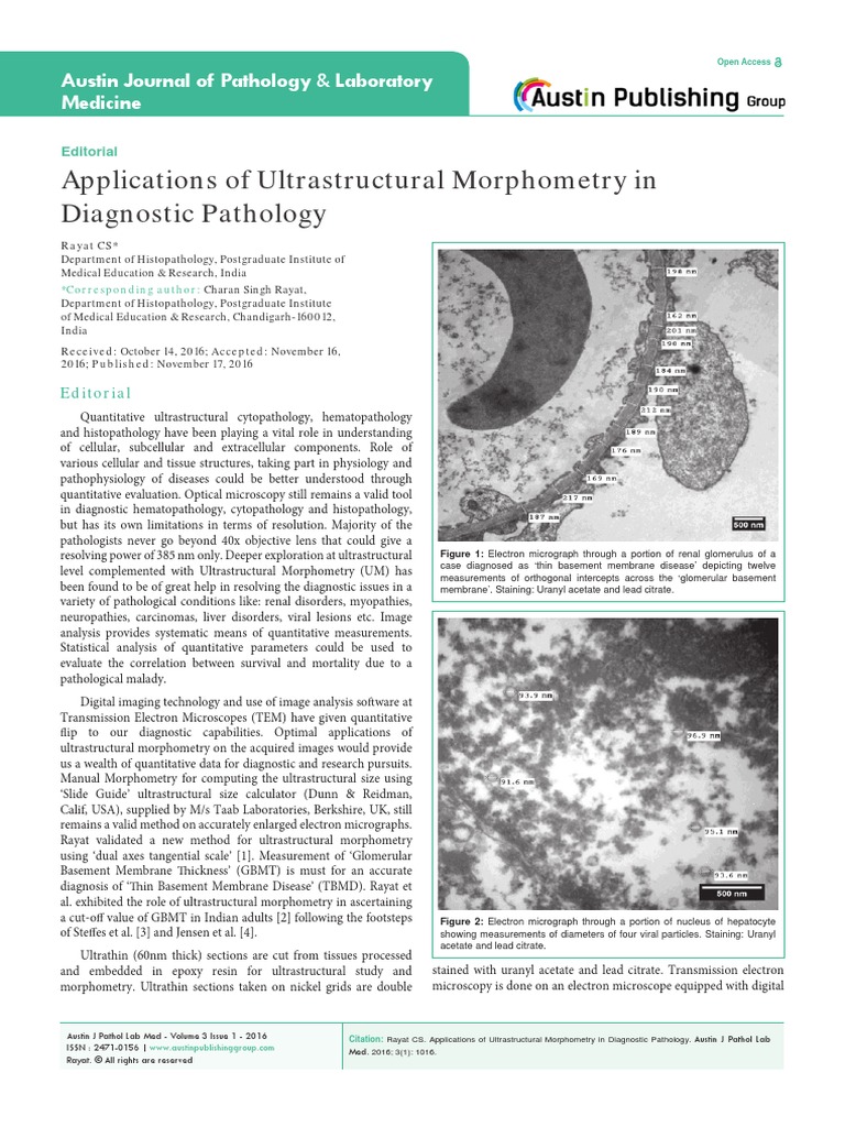 Austin Journal of Pathology & Laboratory Medicine | PDF | Pathology ...