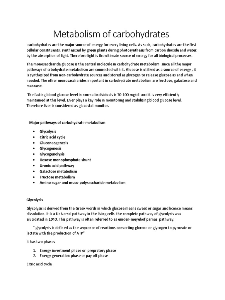 Metabolism of Carbohydrates | PDF | Metabolic Pathway | Metabolism