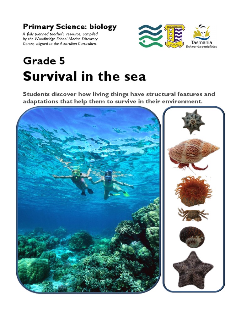 Marine Life Adaptations for Grade 5 | PDF | Food Web | Salinity